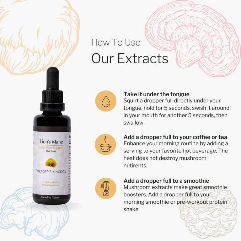 Sustainable Mushroom Extracts Foragers Kingdom